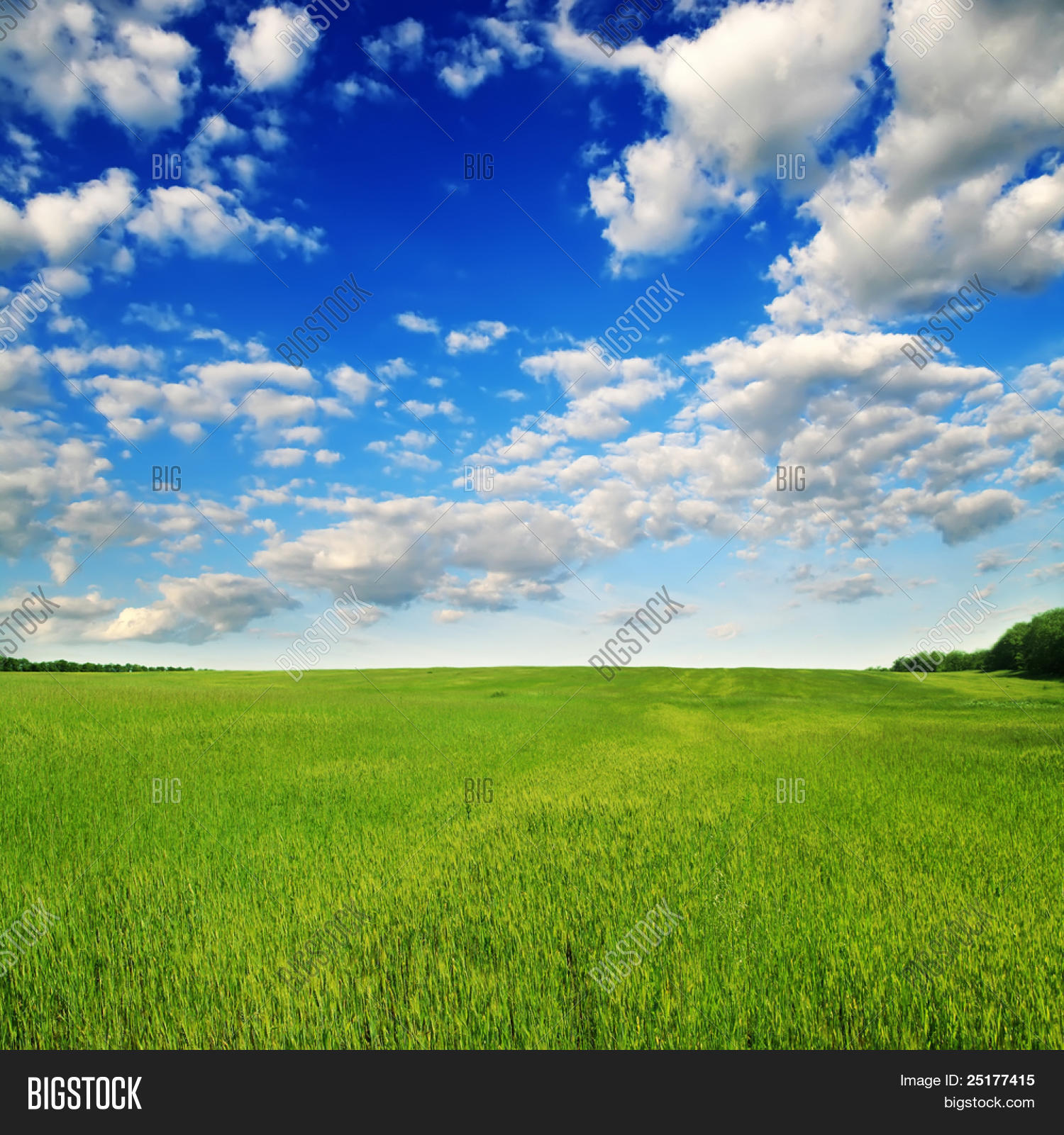 Green Field Blue Sky Image & Photo (Free Trial) | Bigstock