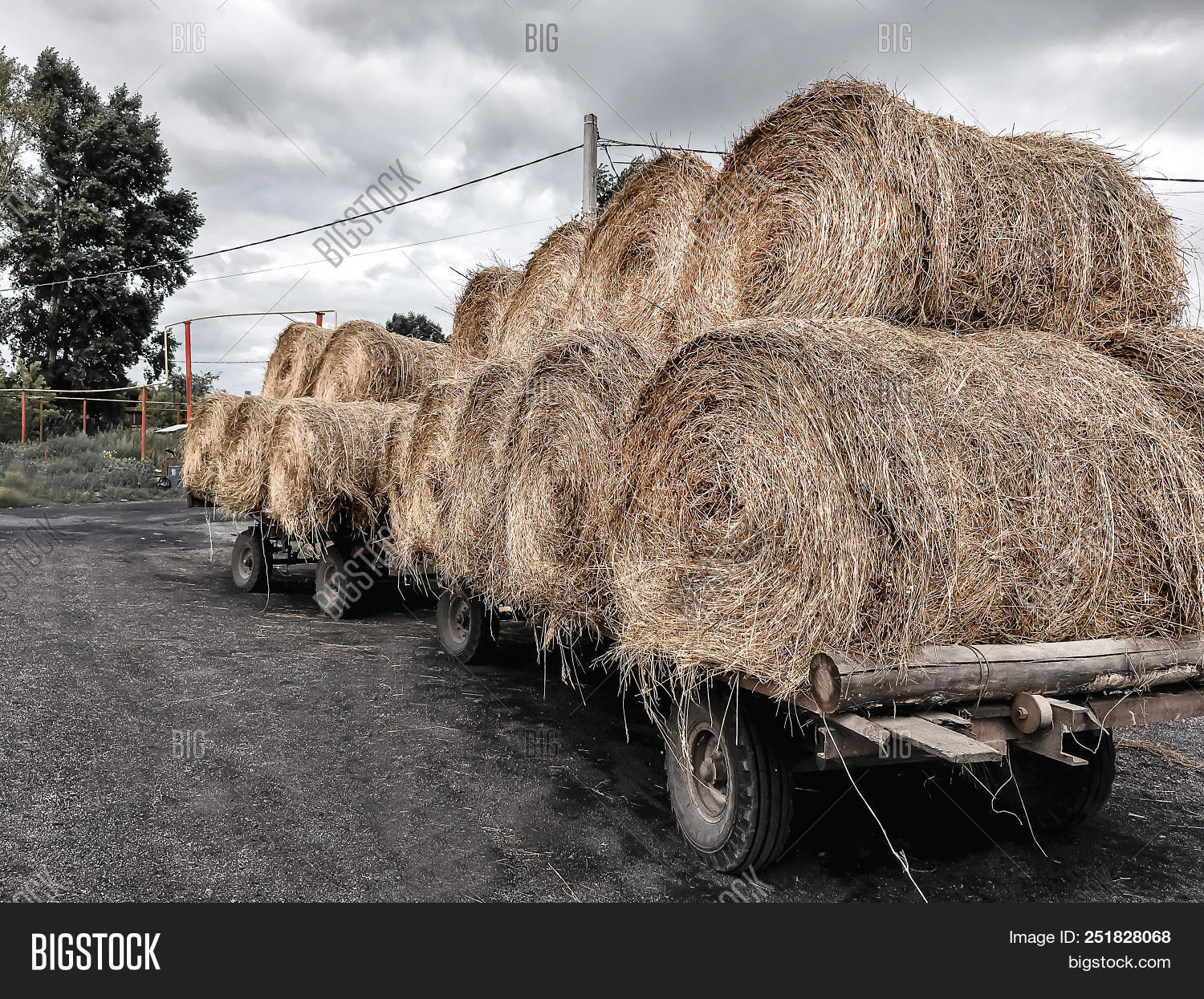 Transportation Hay, Image & Photo (Free Trial) | Bigstock