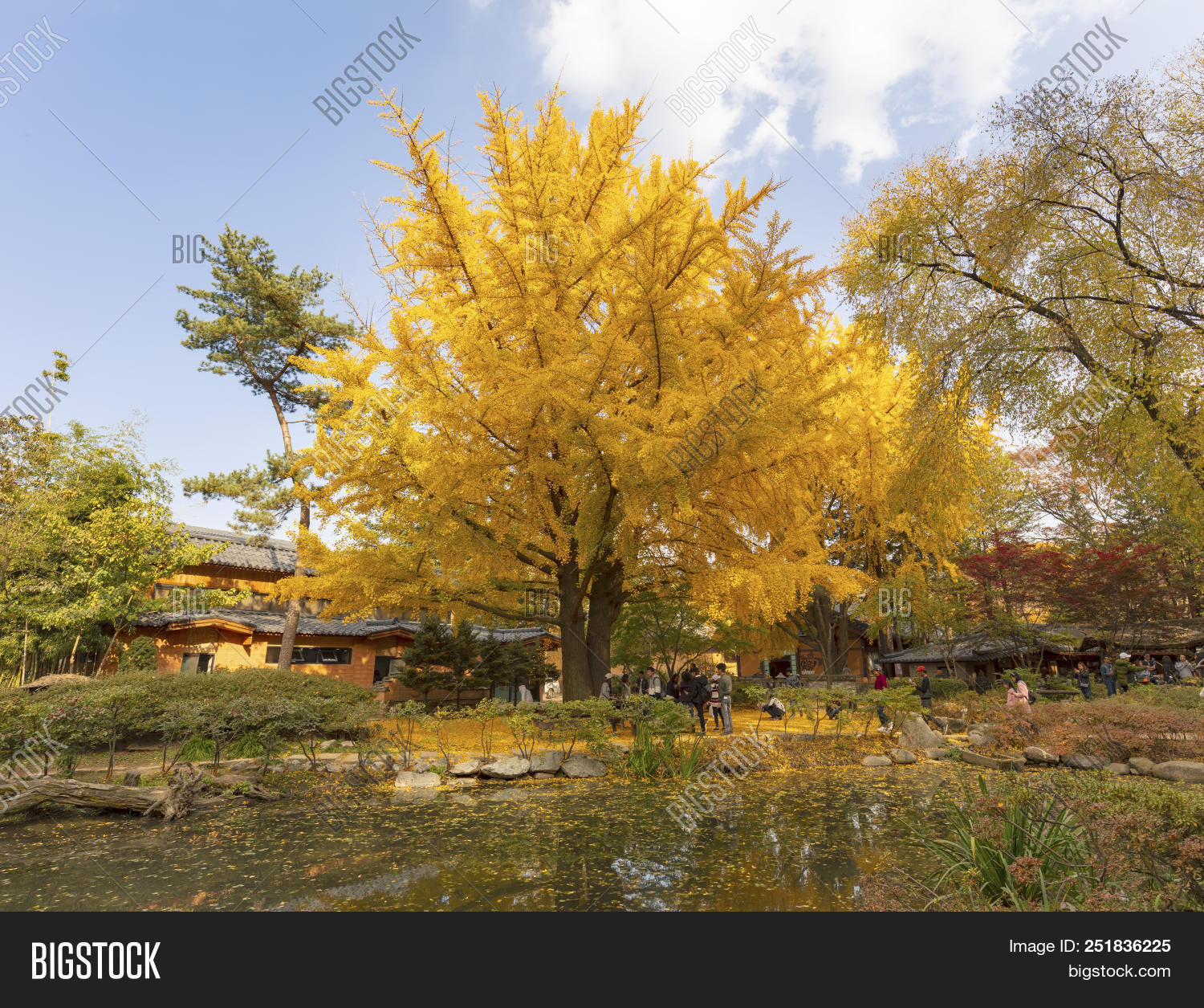 Chuncheon, Gangwon-do Image & Photo (Free Trial) | Bigstock