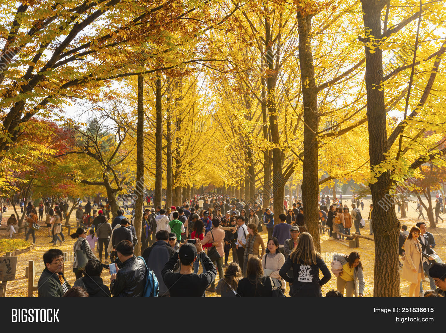 Chuncheon, Gangwon-do Image & Photo (Free Trial) | Bigstock