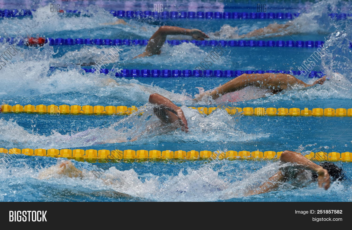 Men Compete Swimming Image & Photo (Free Trial) | Bigstock