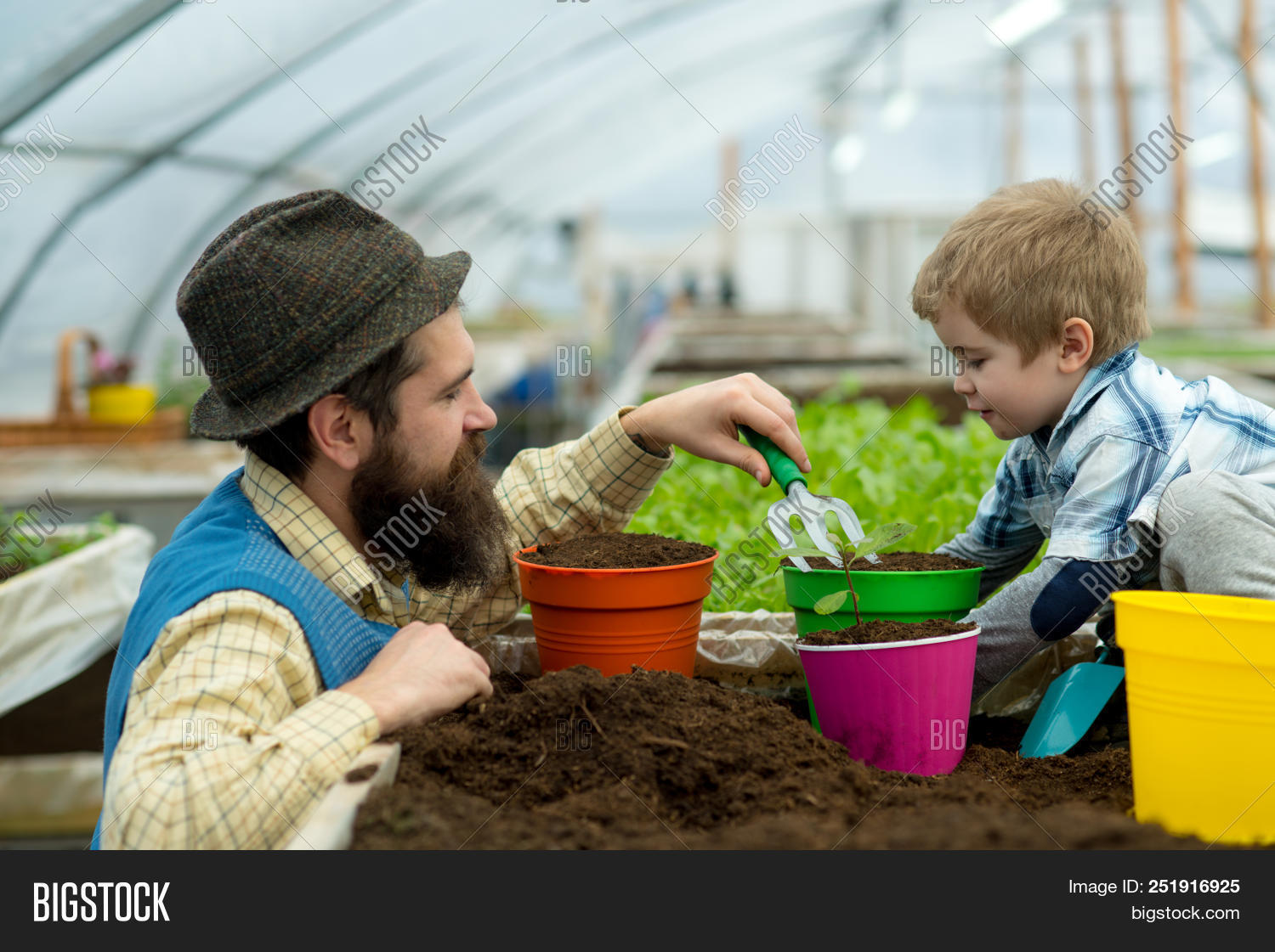 Family Tree. Planting Image & Photo (Free Trial) | Bigstock