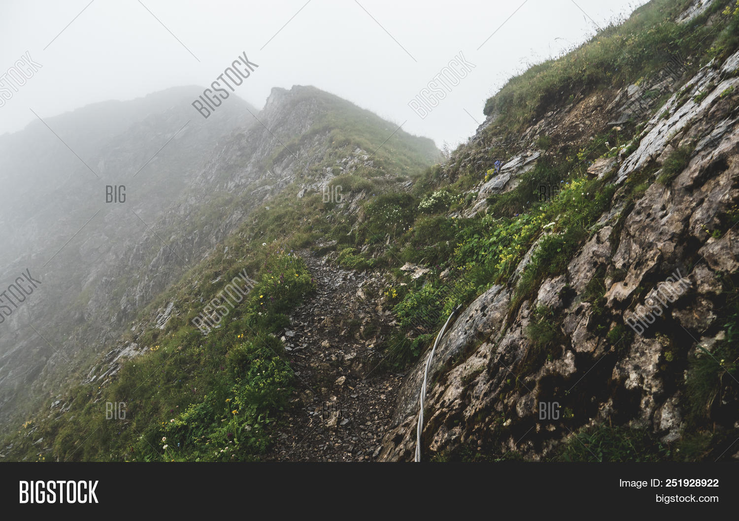 Scary Hiking Path Image & Photo (Free Trial) | Bigstock