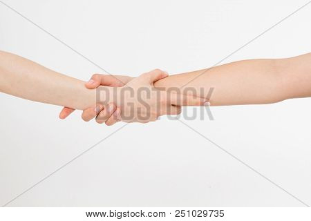 Two Hands Isolated. Image & Photo (Free Trial) | Bigstock