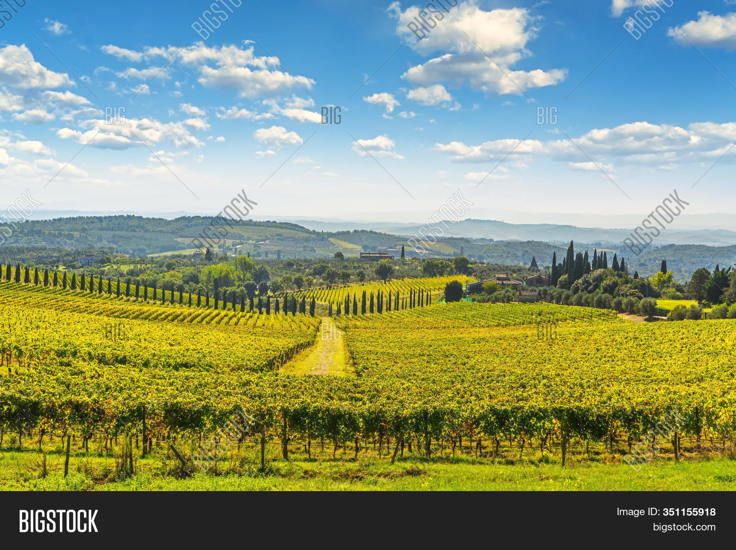 Chianti Vineyard Image & Photo (Free Trial) | Bigstock