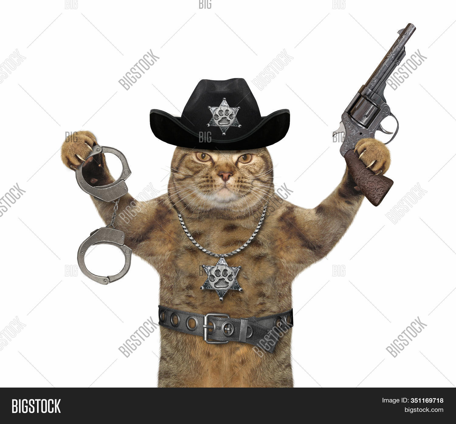 Beige Cat Policeman Image & Photo (Free Trial) | Bigstock
