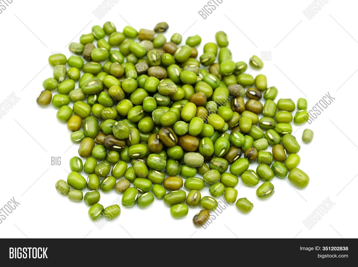 Mung Bean (vigna Image & Photo (Free Trial) | Bigstock