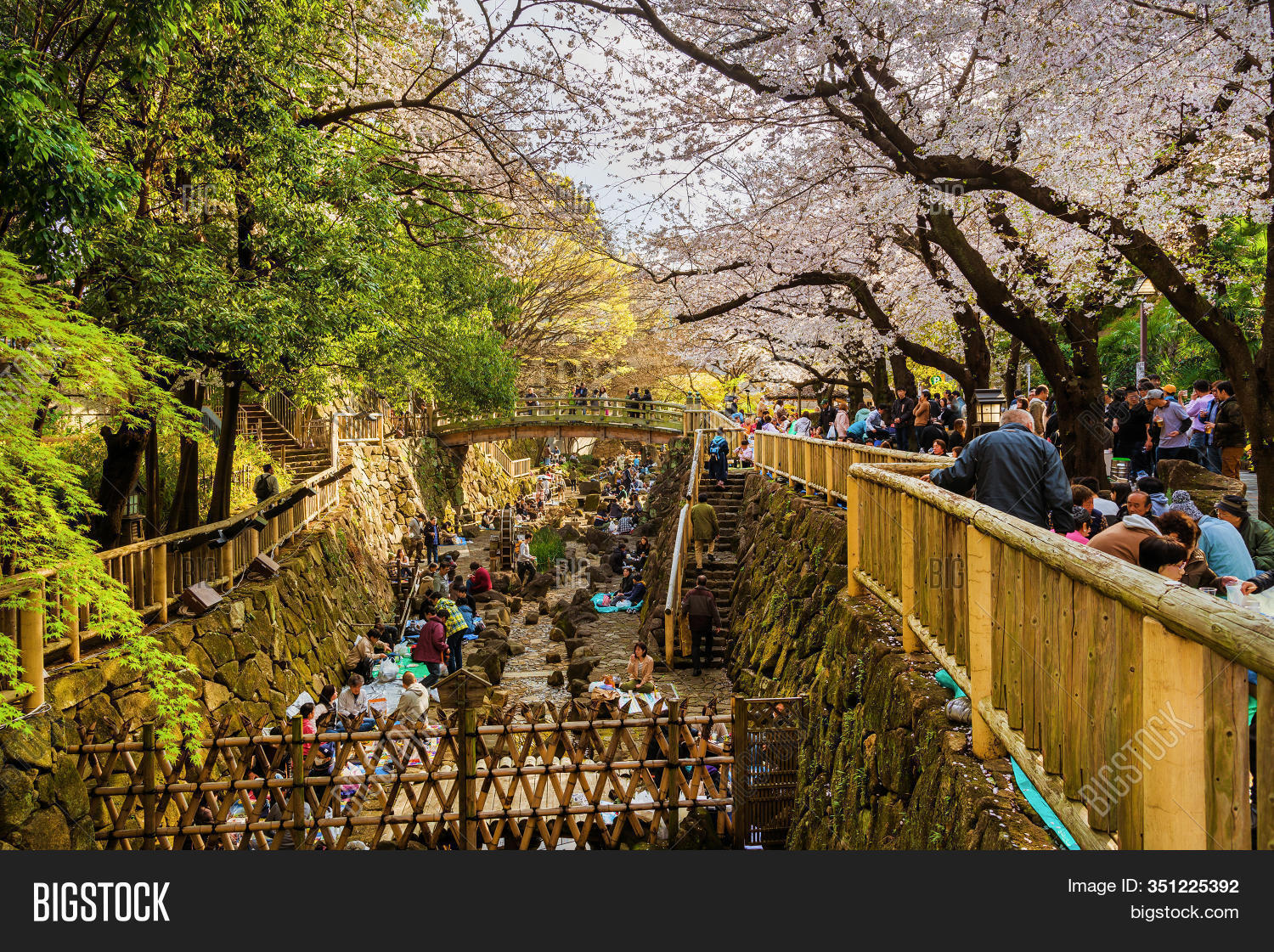 Tokyo, Japan - March Image & Photo (Free Trial) | Bigstock