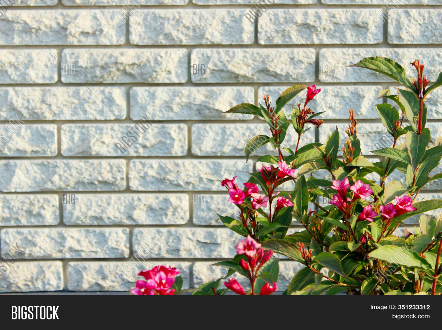 White Brick Fence Image & Photo (Free Trial) | Bigstock