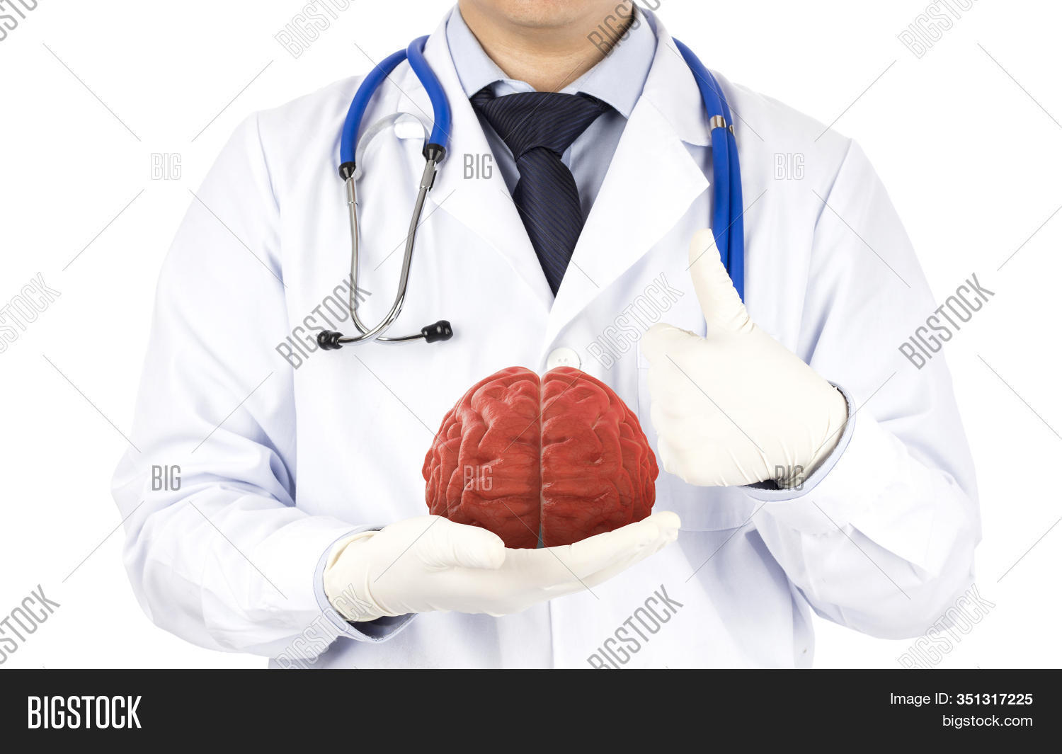 Doctor Hold Brain Show Image & Photo (Free Trial) | Bigstock
