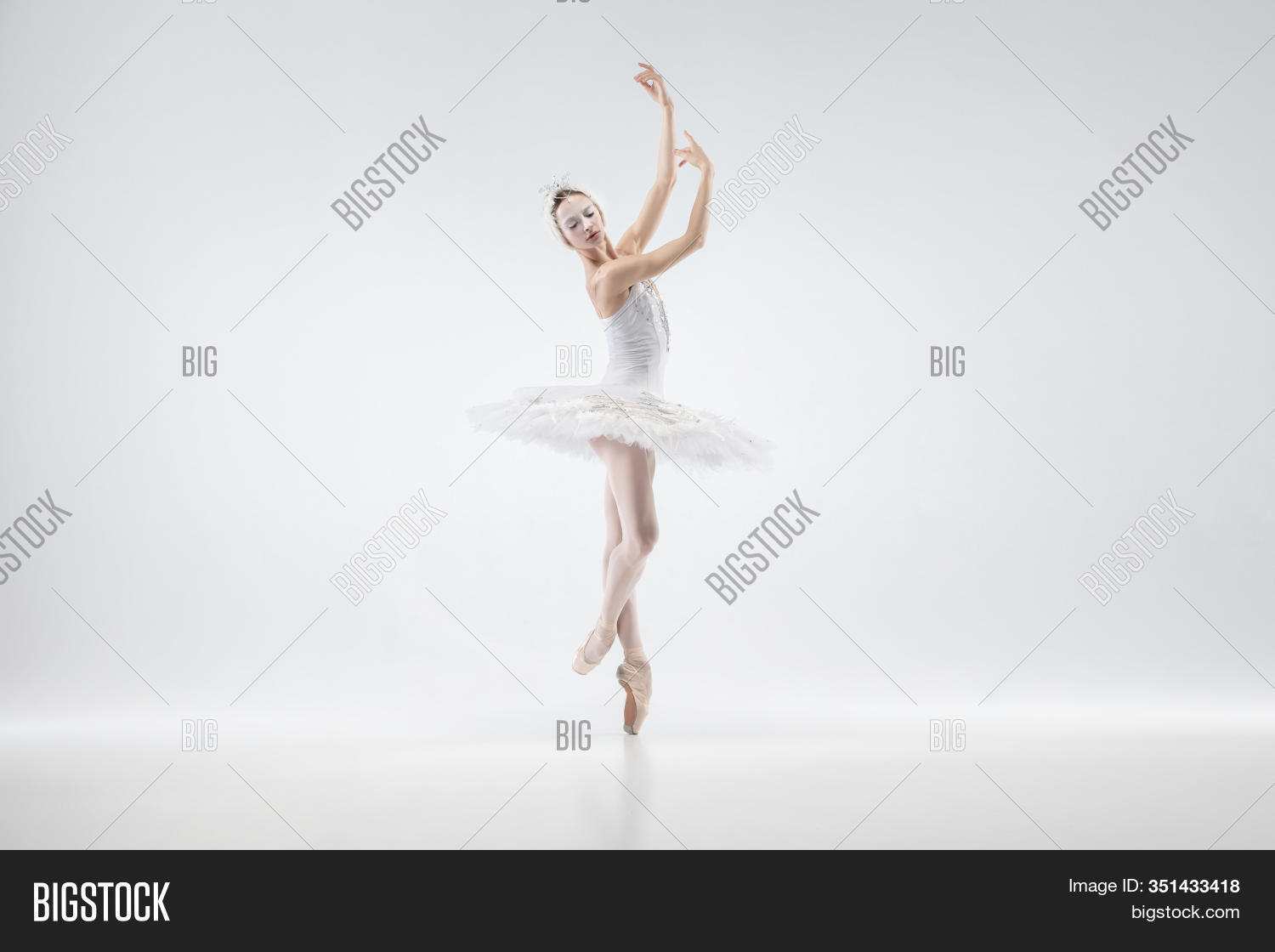 Graceful Classic Image & Photo (Free Trial) | Bigstock