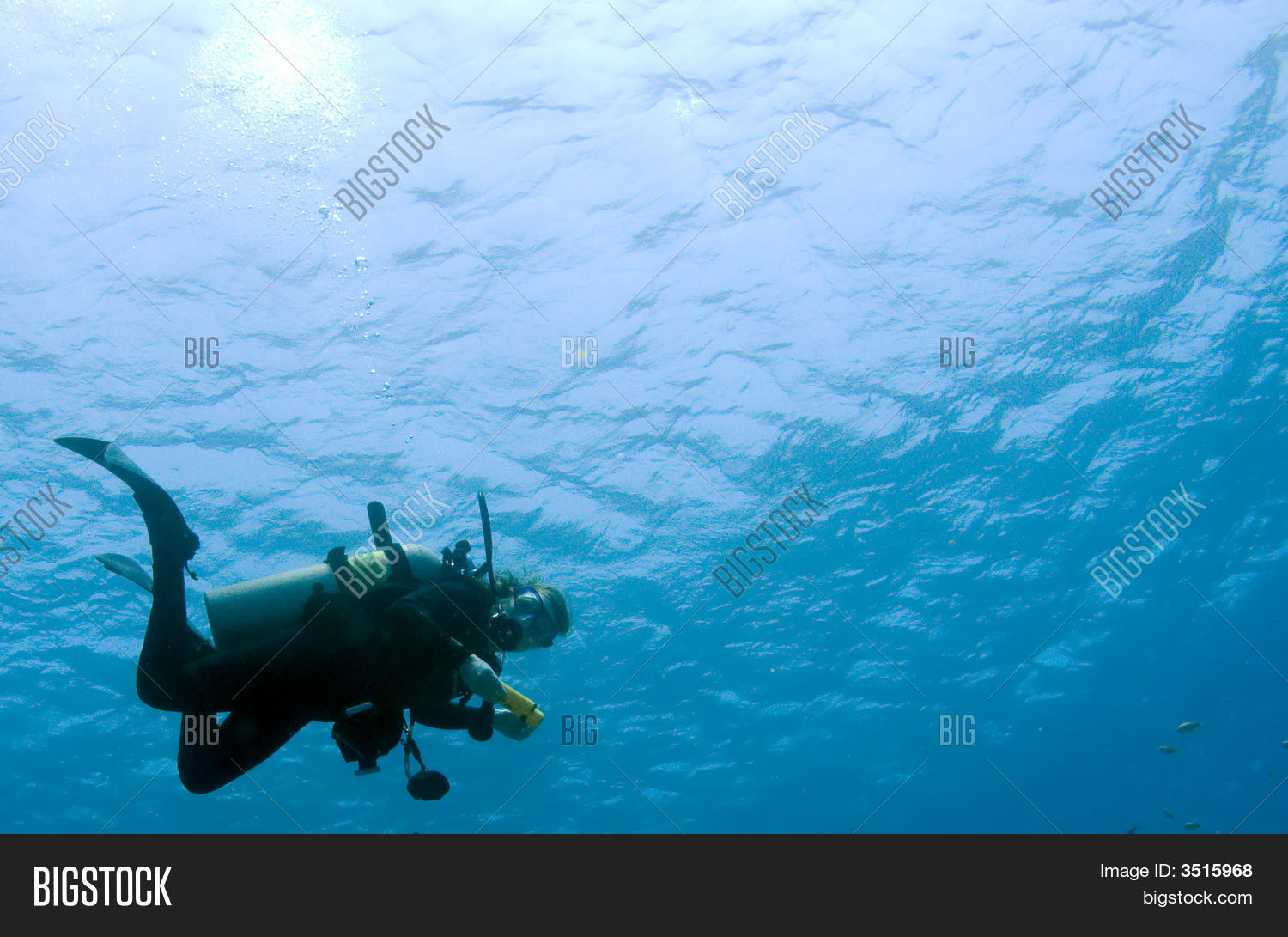 Scuba Diver Descending Image & Photo (Free Trial) | Bigstock
