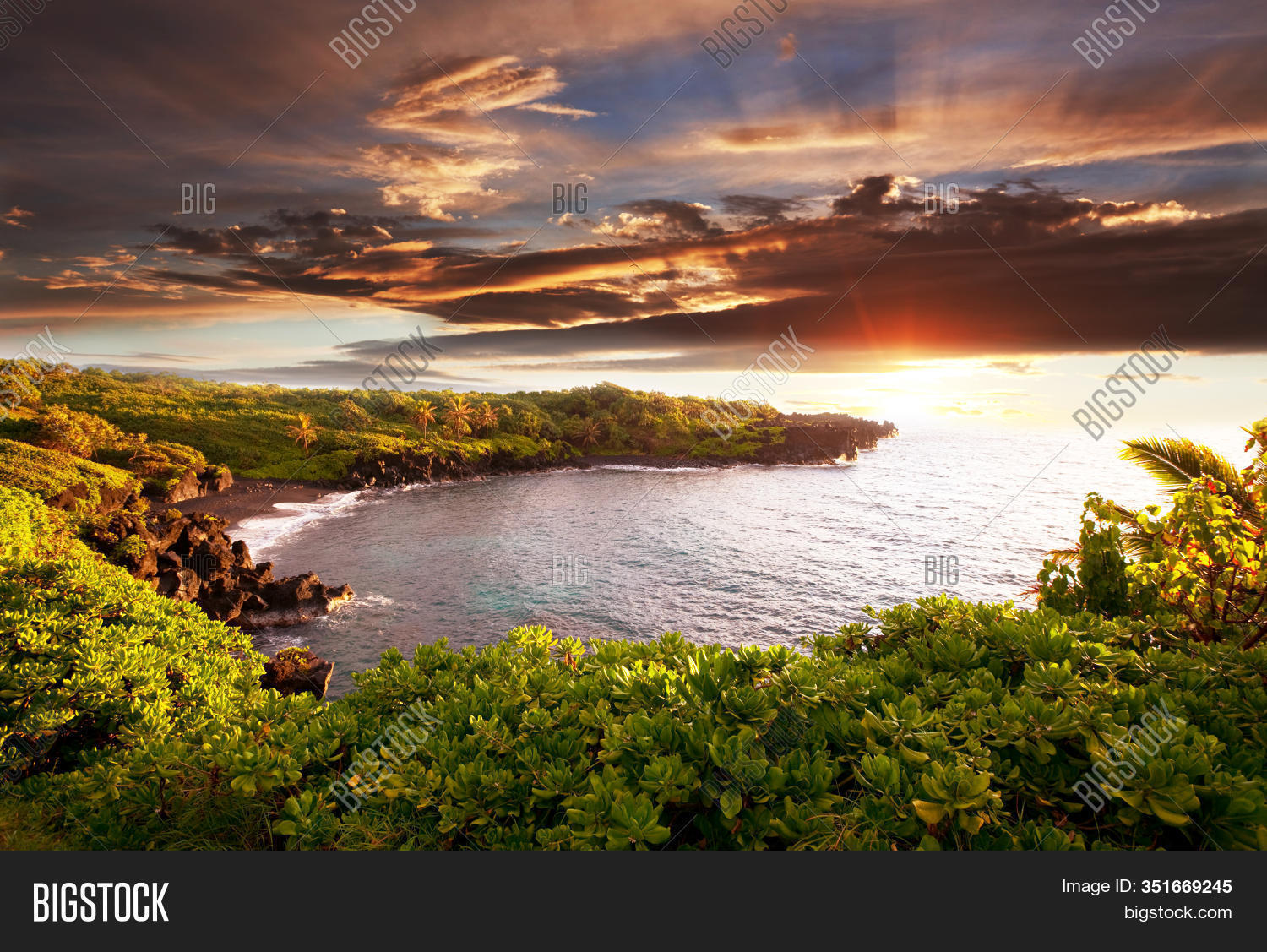 Beautiful Tropical Image & Photo (Free Trial) | Bigstock