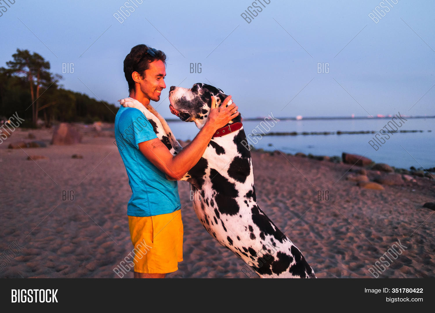 Cheerful Male Owner Image & Photo (Free Trial) | Bigstock