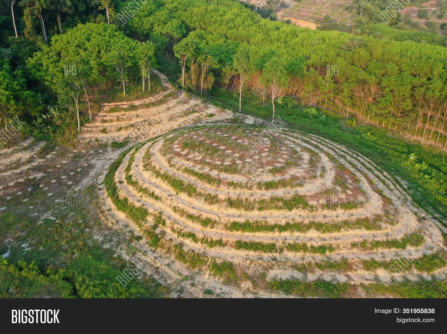 Deforestation Malaysia Image & Photo (Free Trial) | Bigstock