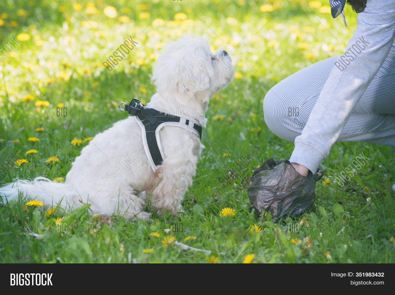 Owner Cleaning After Image & Photo (Free Trial) | Bigstock
