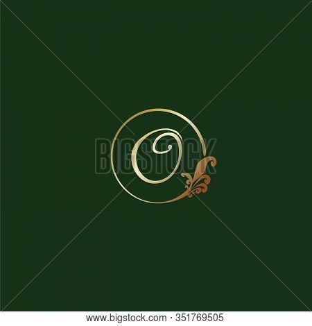 Letter O Decorative Vector & Photo (Free Trial) | Bigstock