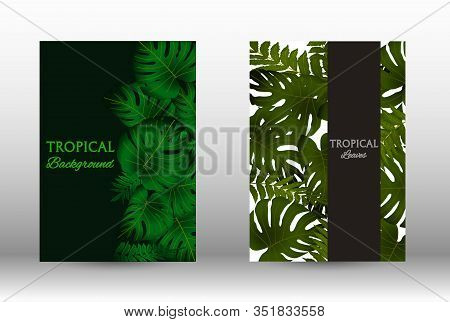 Tropic Covers Set. Vector & Photo (Free Trial) | Bigstock