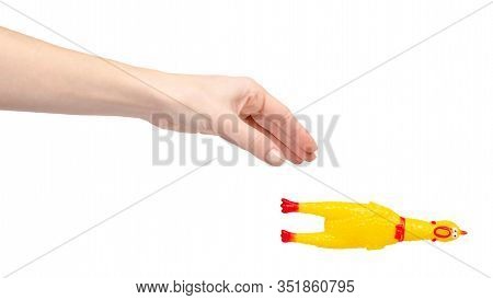 Yellow Rubber Chicken Image & Photo (Free Trial) | Bigstock
