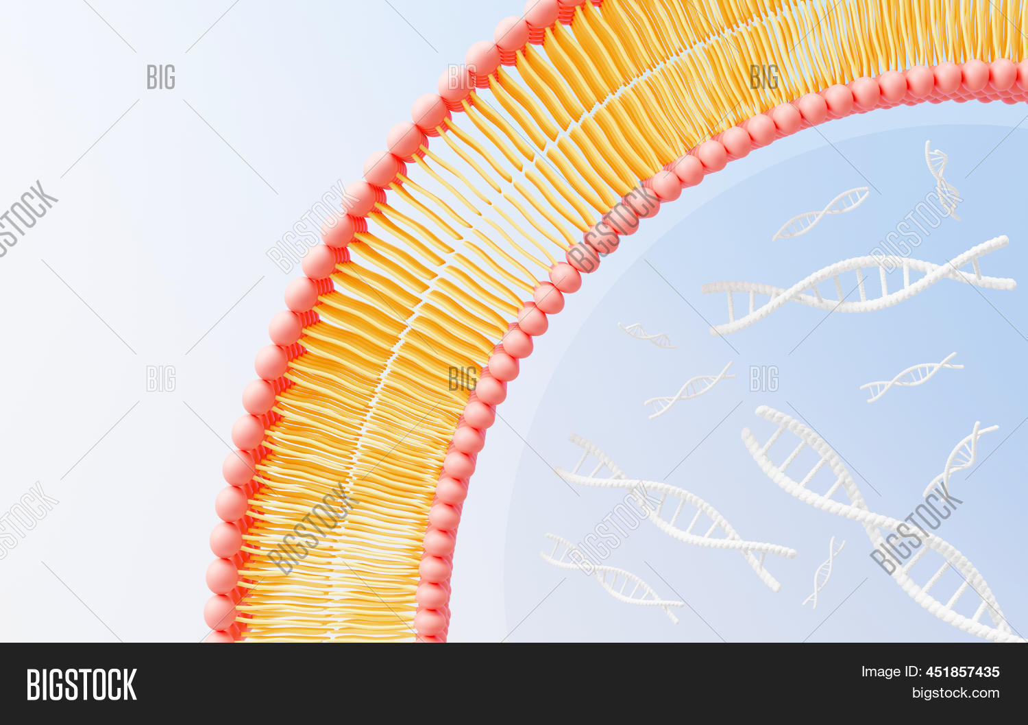 3d Render Cell Image & Photo (Free Trial) | Bigstock