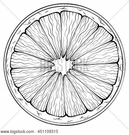 Sliced Circle Orange Vector & Photo (Free Trial) | Bigstock