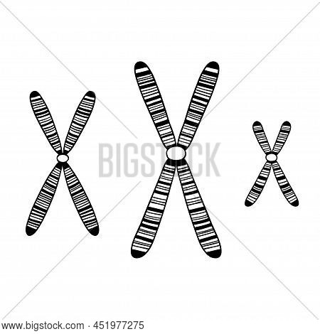 Set Striped Black Vector & Photo (Free Trial) | Bigstock