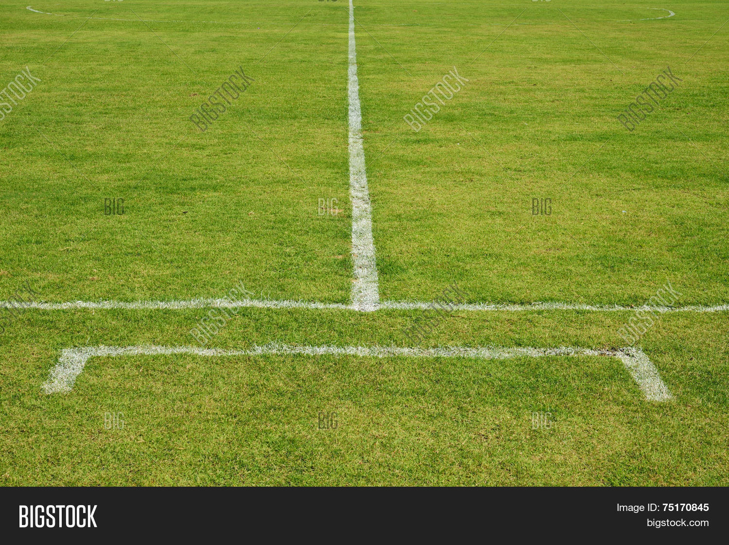 Green Grass Soccer Image & Photo (Free Trial) | Bigstock