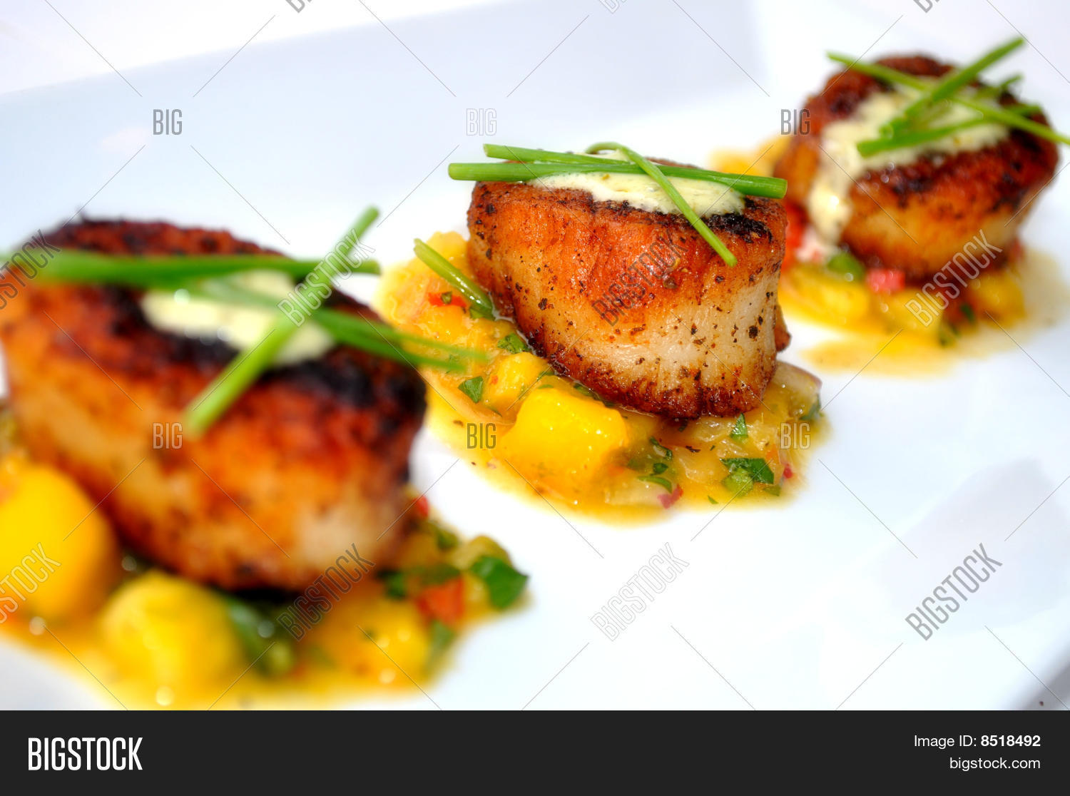 Gourmet Scallops Image & Photo (Free Trial) | Bigstock