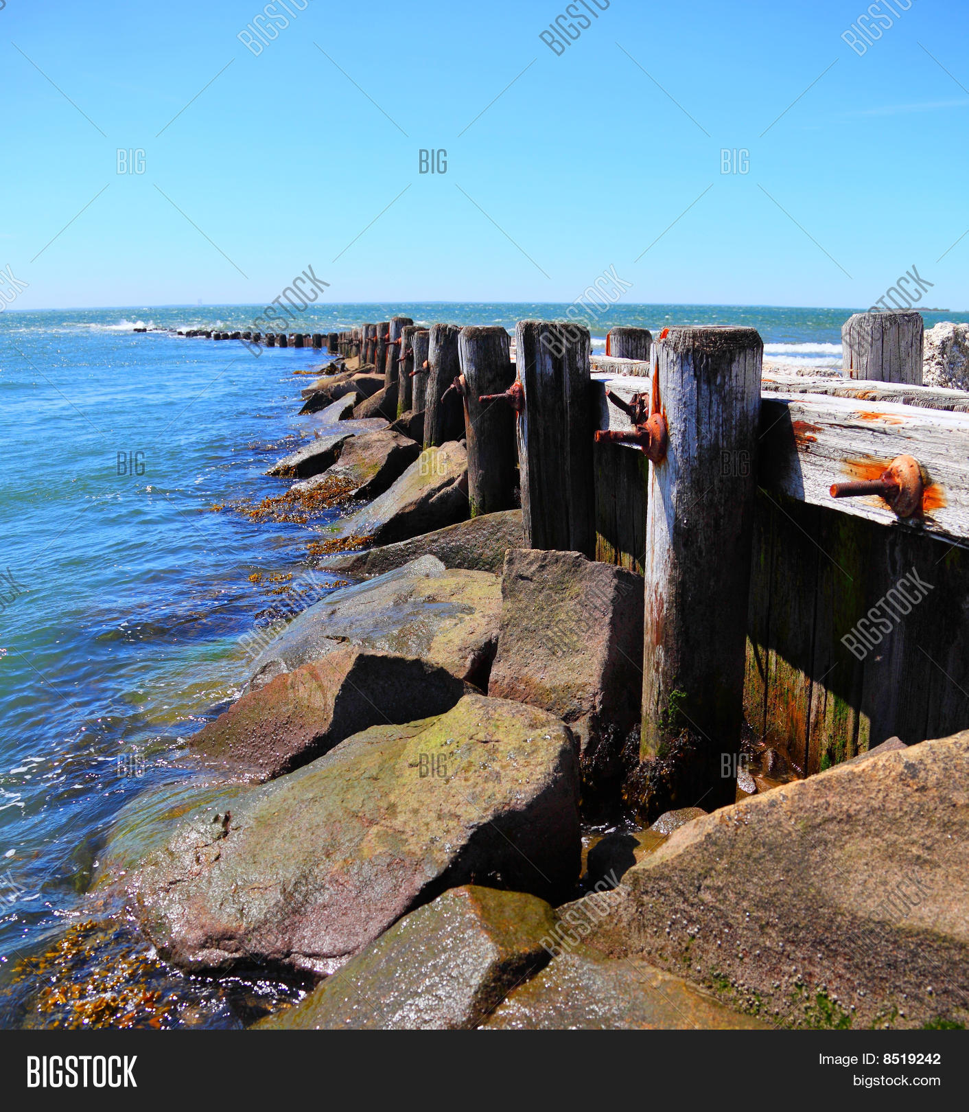 Groin Image And Photo Free Trial Bigstock