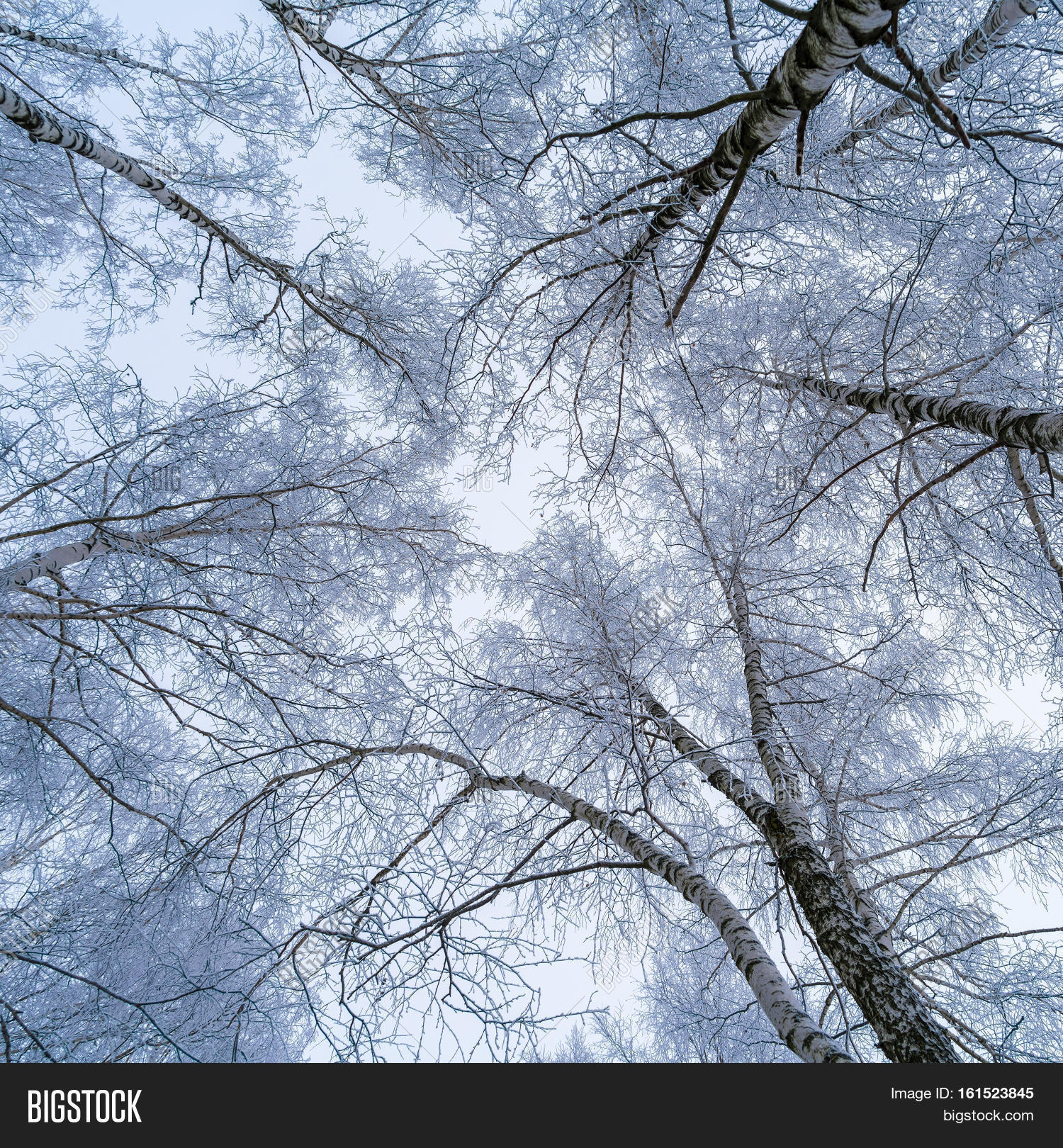 View Sky Through Image & Photo (Free Trial) | Bigstock