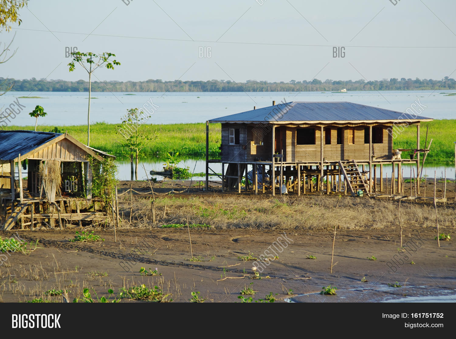 Amazon House Image & Photo (Free Trial) | Bigstock