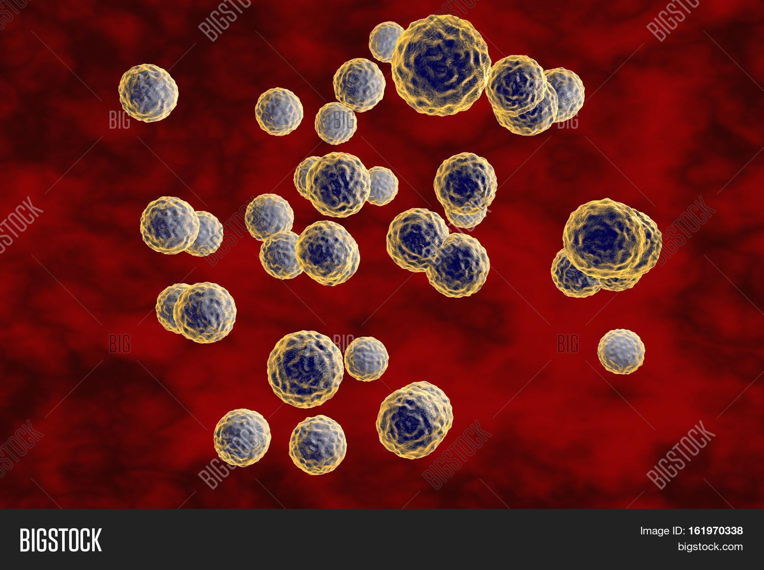 Enterovirus On Dark Image & Photo (Free Trial) | Bigstock