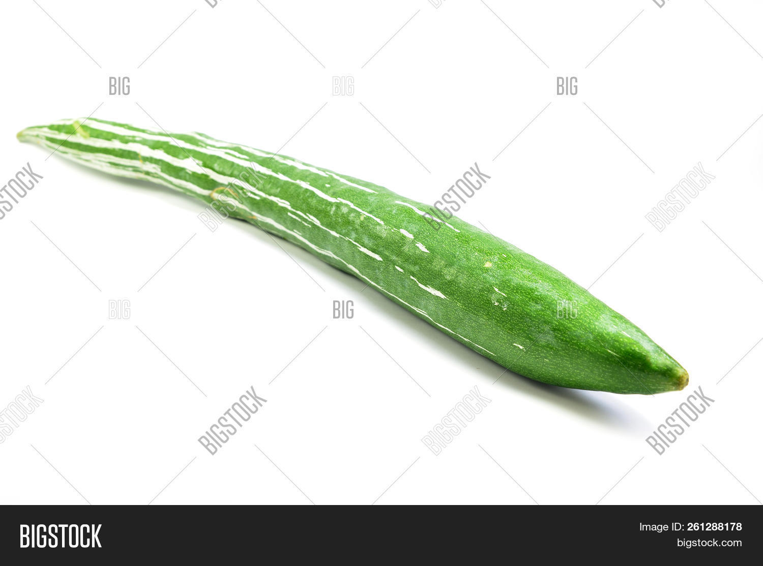 Snake Gourd Isolated Image & Photo (Free Trial) | Bigstock