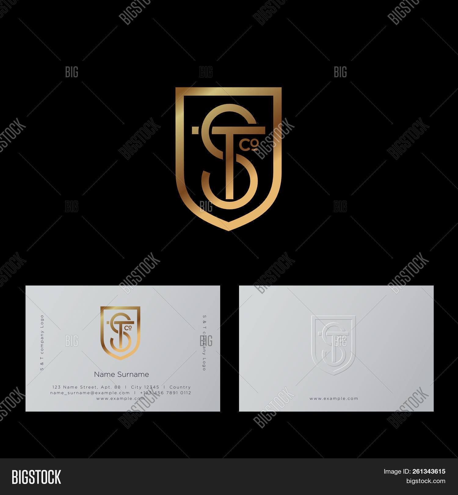 S, T Letters. S T Vector & Photo (Free Trial) | Bigstock