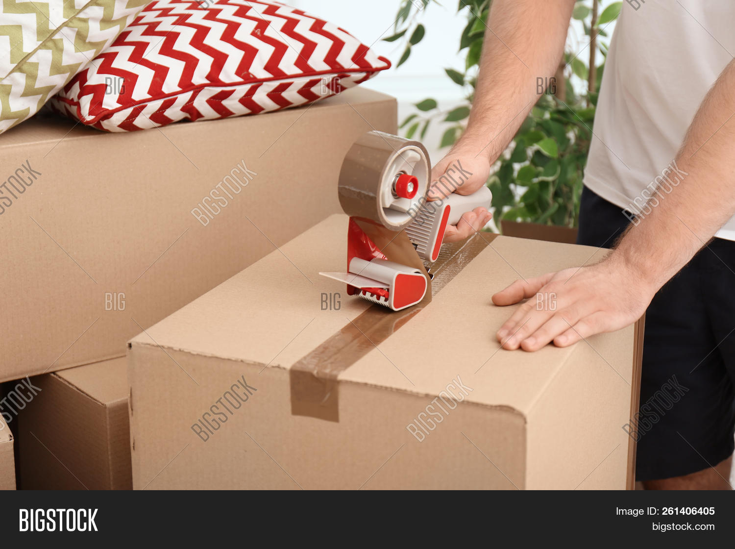 Man Packing Carton Box Image & Photo (Free Trial) | Bigstock