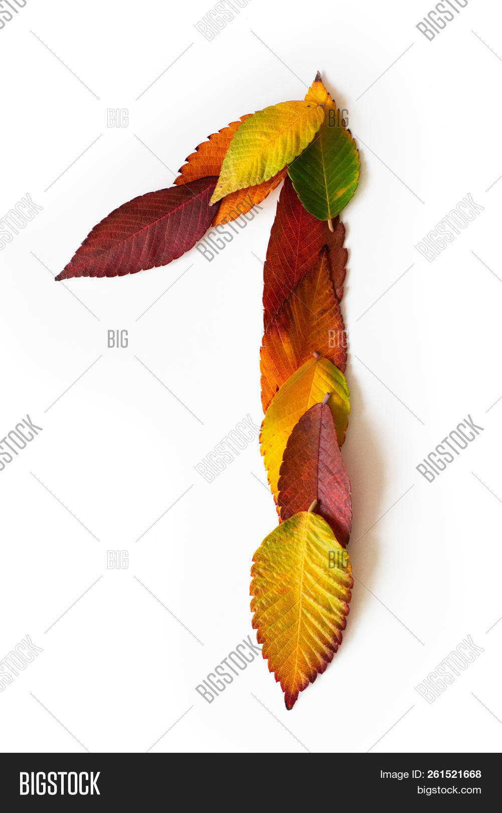 Number 1 Colorful Image & Photo (Free Trial) | Bigstock