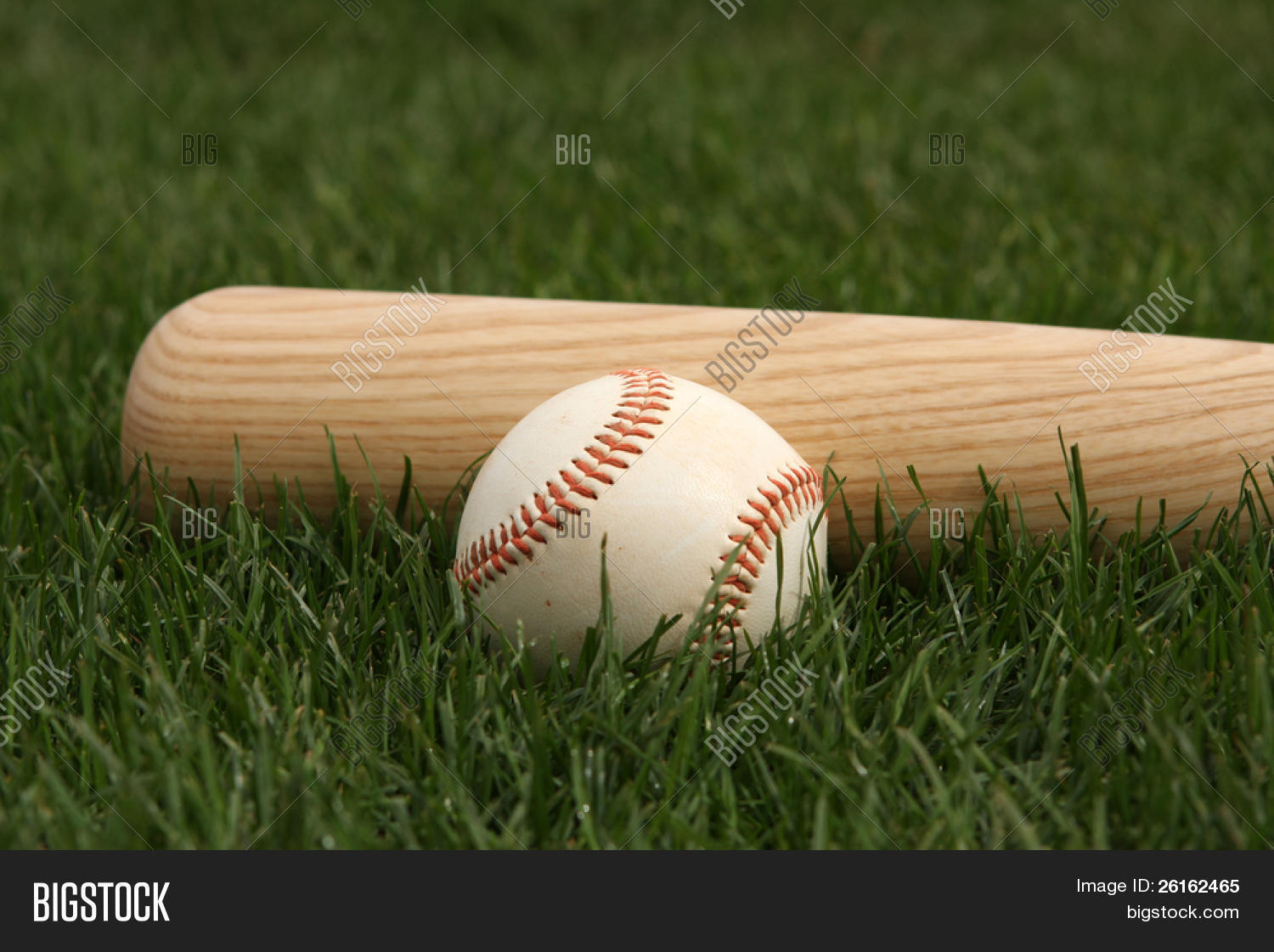 Baseball & Bat On Image & Photo (Free Trial) | Bigstock