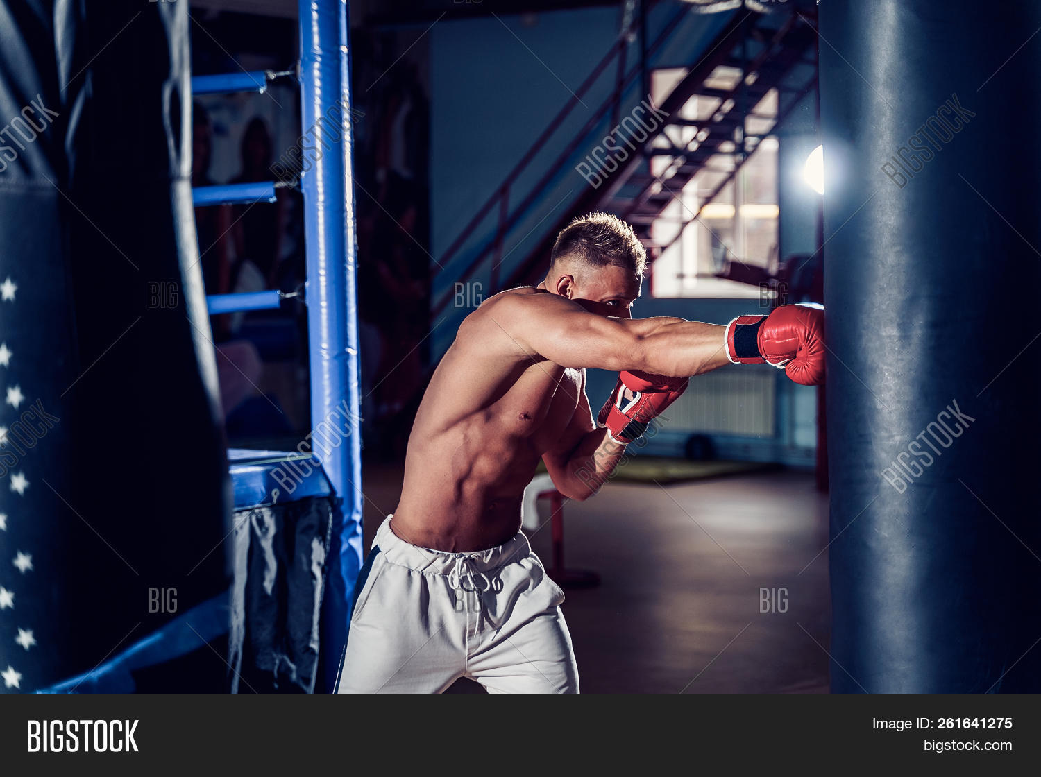 Male Boxer Training Image & Photo (Free Trial) | Bigstock