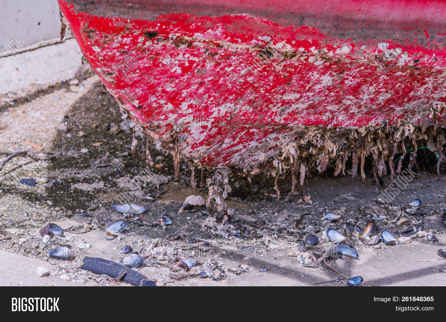 Front View Bottom Old Image & Photo (Free Trial) | Bigstock