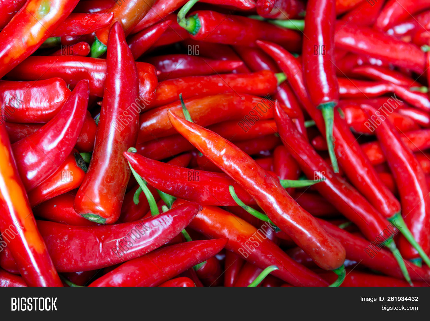 Fresh Red Hot Chili Image & Photo (Free Trial) | Bigstock