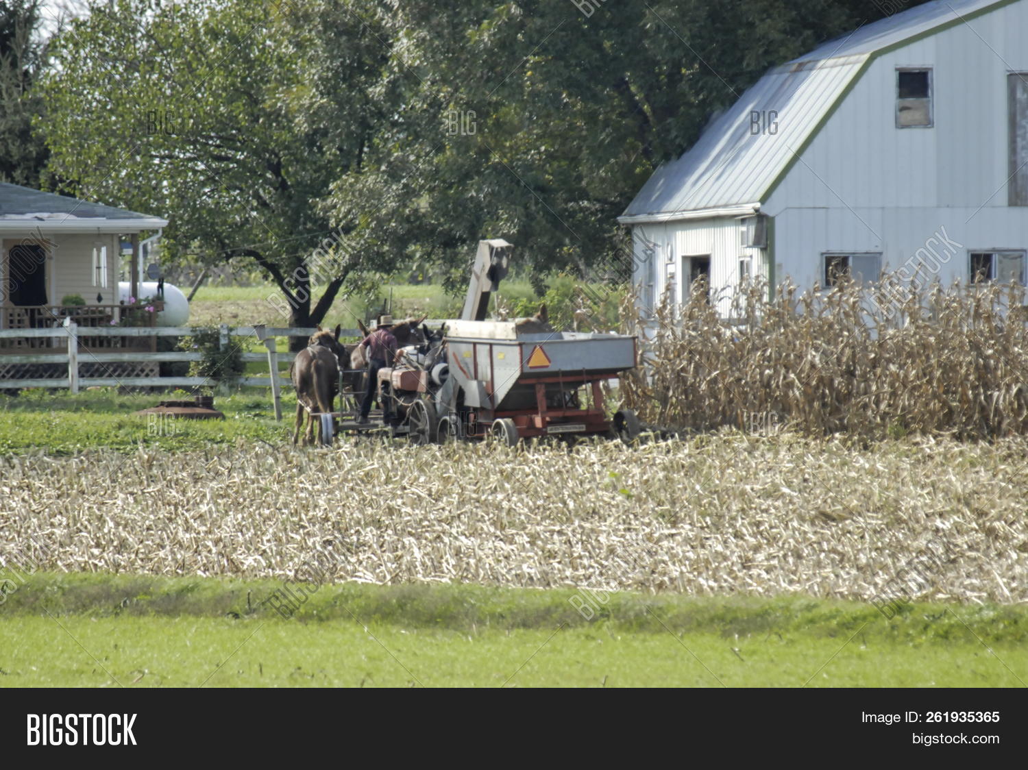 Amish Farmer Image & Photo (Free Trial) | Bigstock