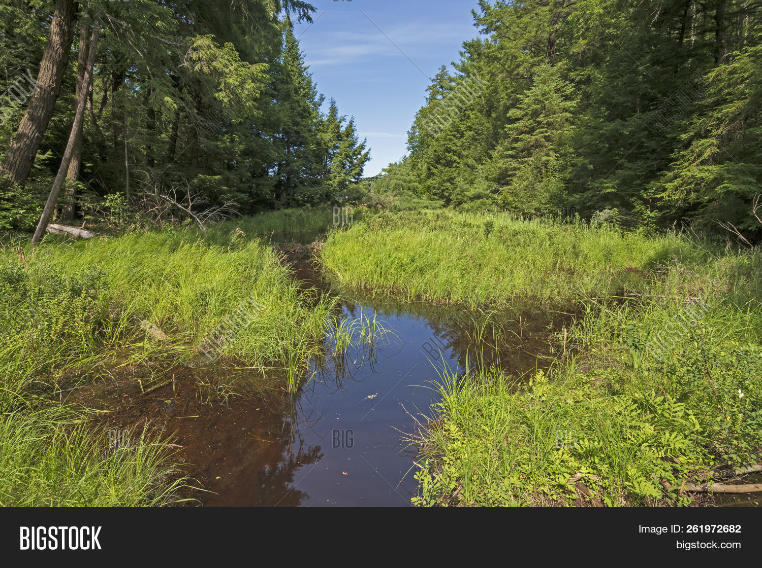 Quiet Stream North Image & Photo (Free Trial) | Bigstock