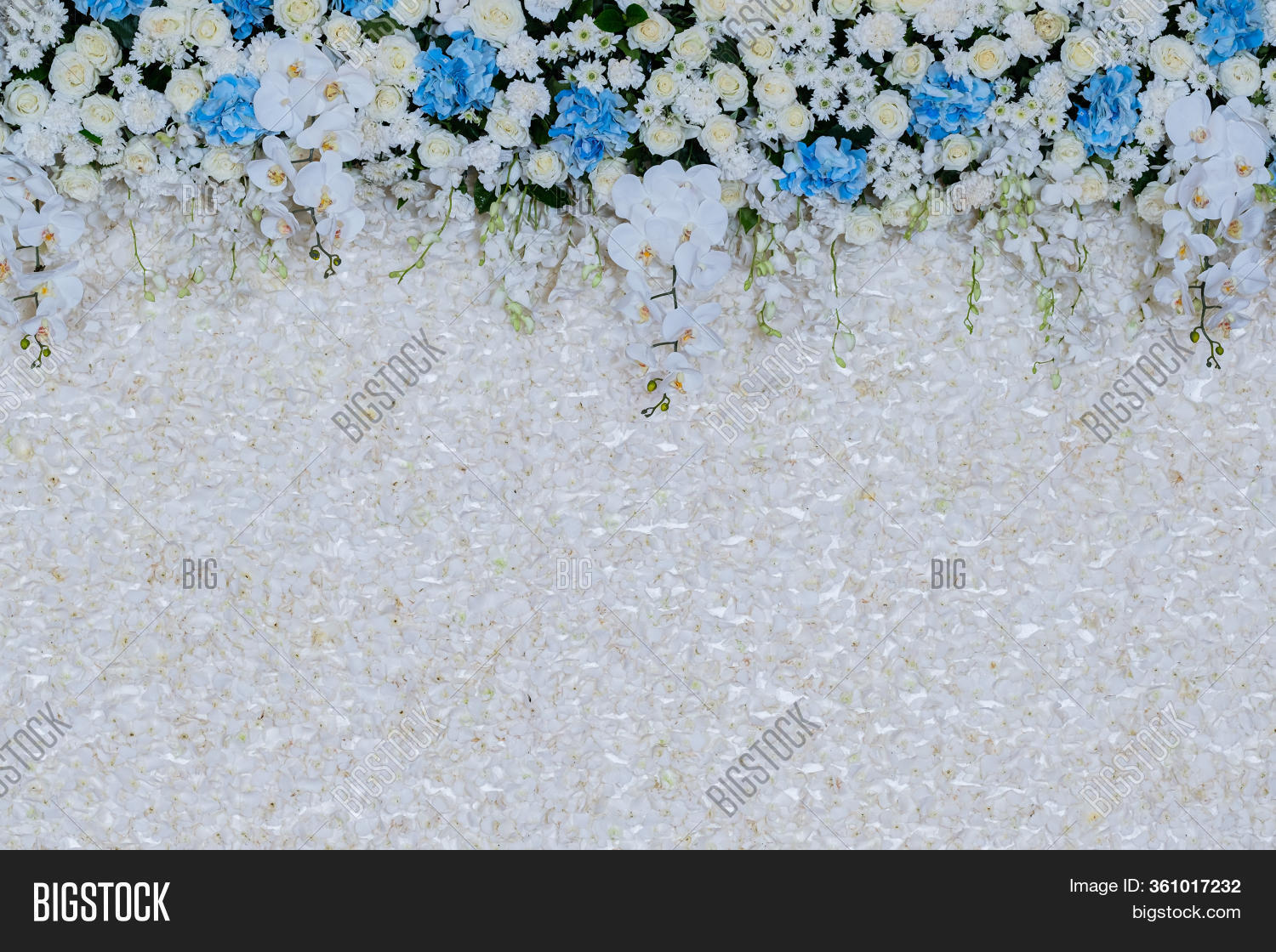 Backdrop Flowers Image & Photo (Free Trial) | Bigstock