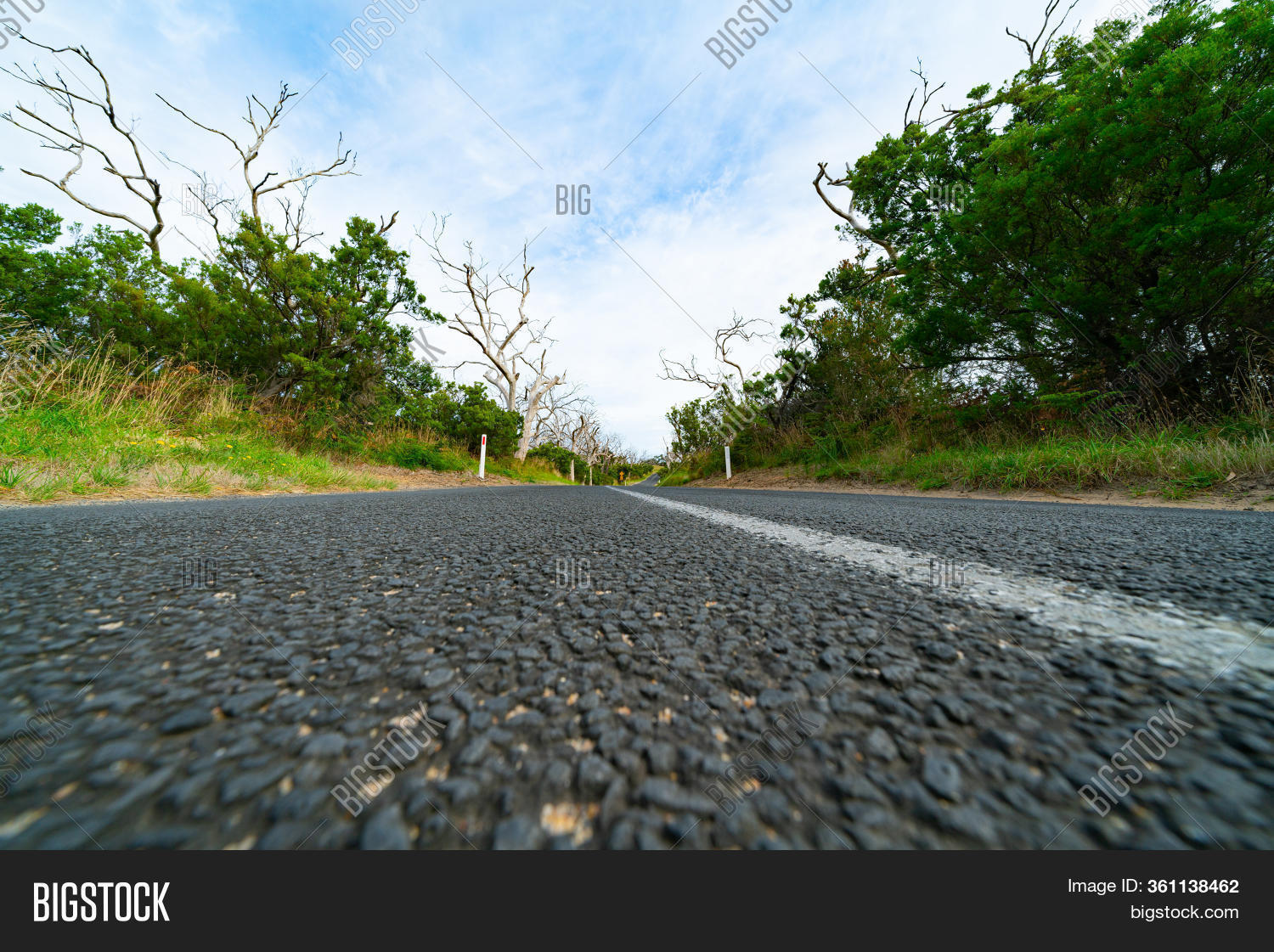 Road Through Bush Image & Photo (Free Trial) | Bigstock