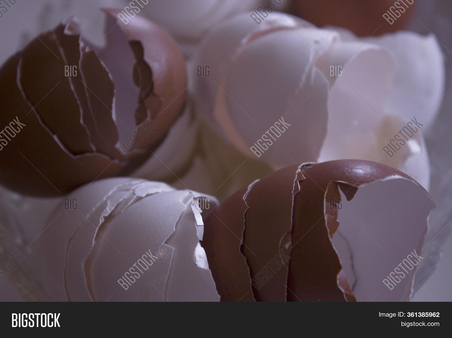 Egg Shells Glass Plate Image & Photo (Free Trial) | Bigstock