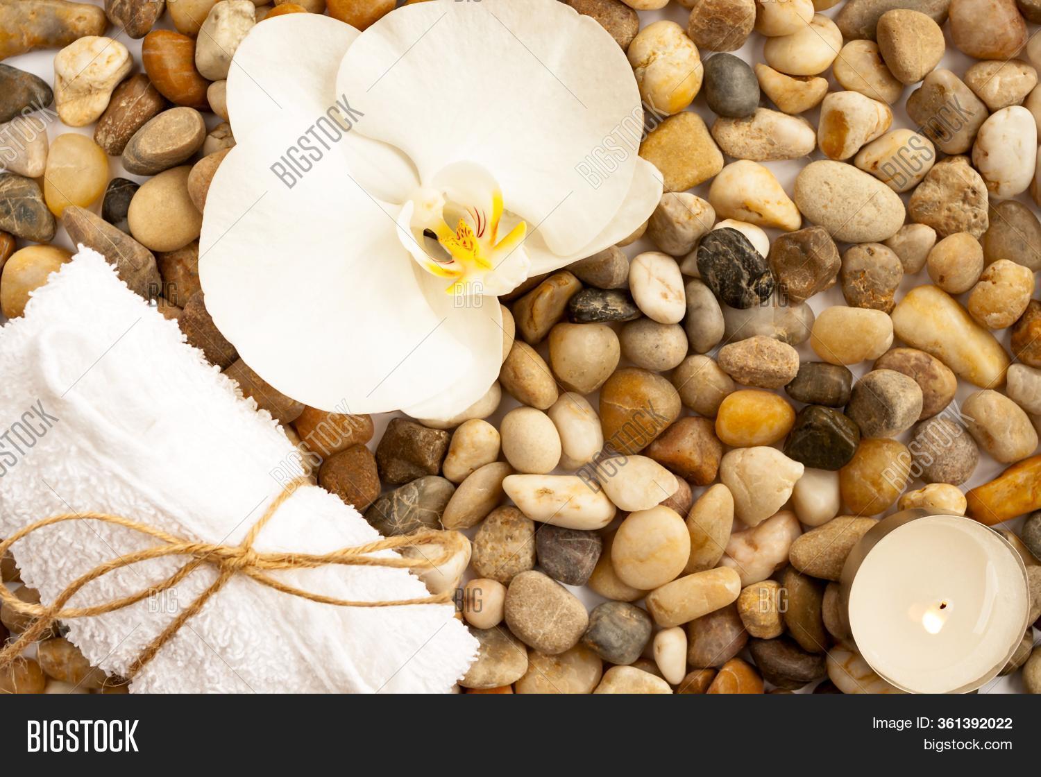 Sea Stone Natural Image & Photo (Free Trial) | Bigstock