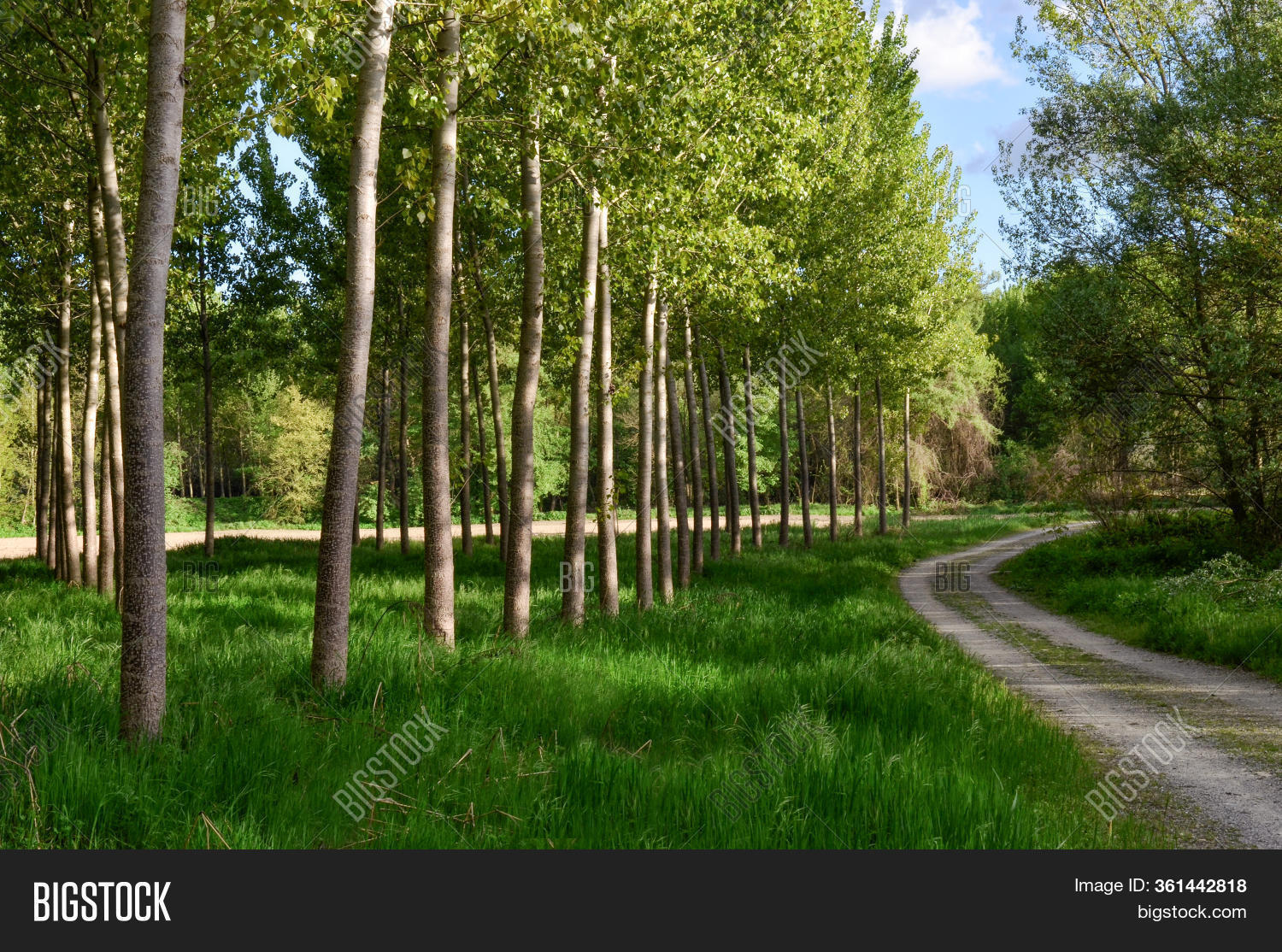 Countryside Pathway Image & Photo (Free Trial) | Bigstock