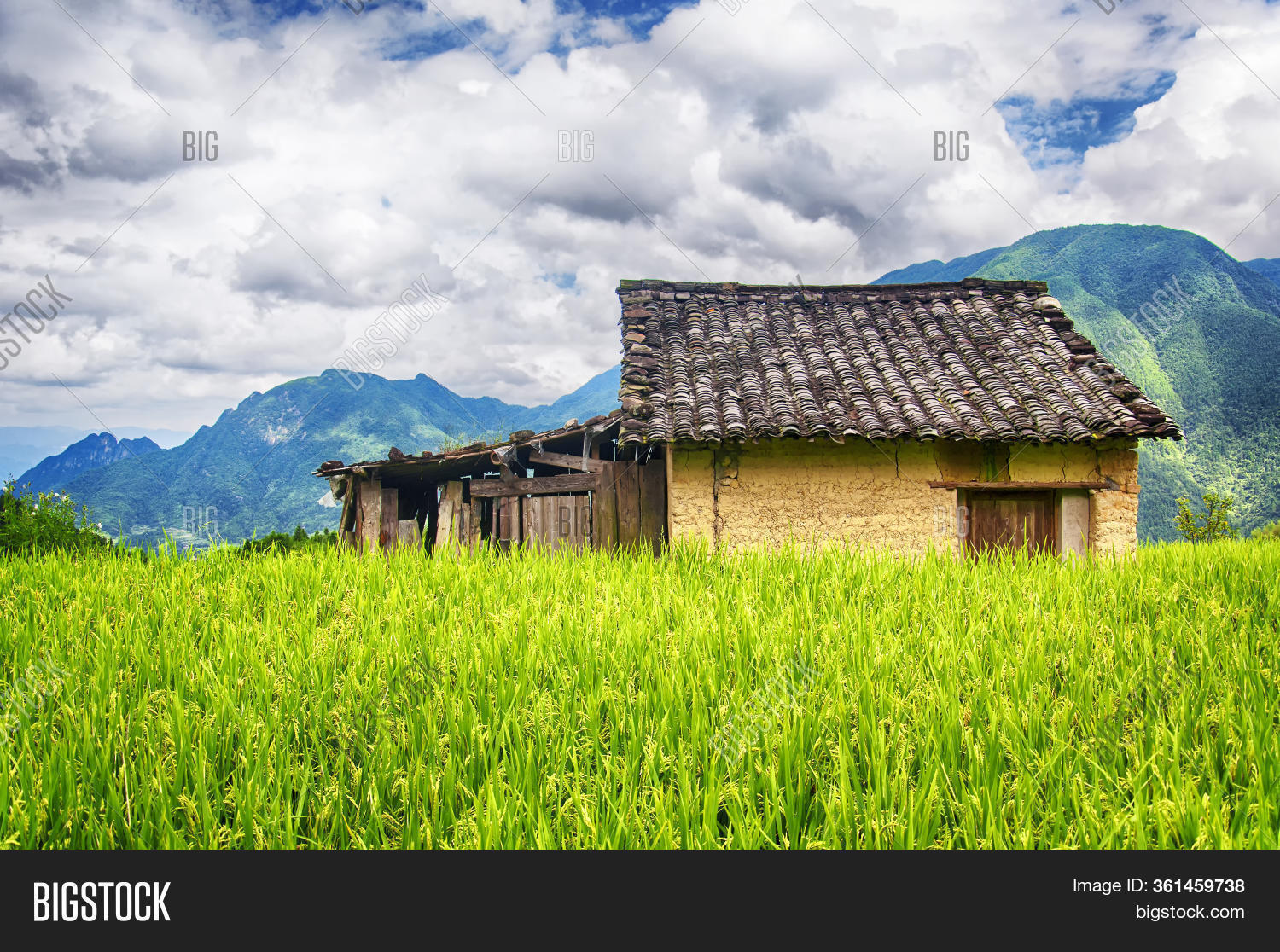 Weathered Building Image & Photo (Free Trial) | Bigstock