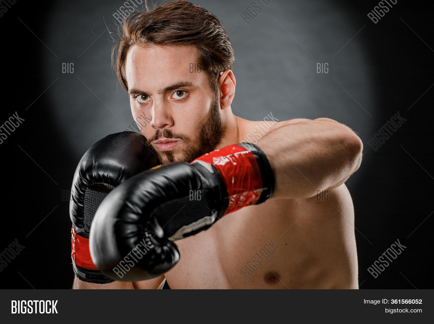 Man Boxing Gloves. Man Image & Photo (Free Trial) | Bigstock