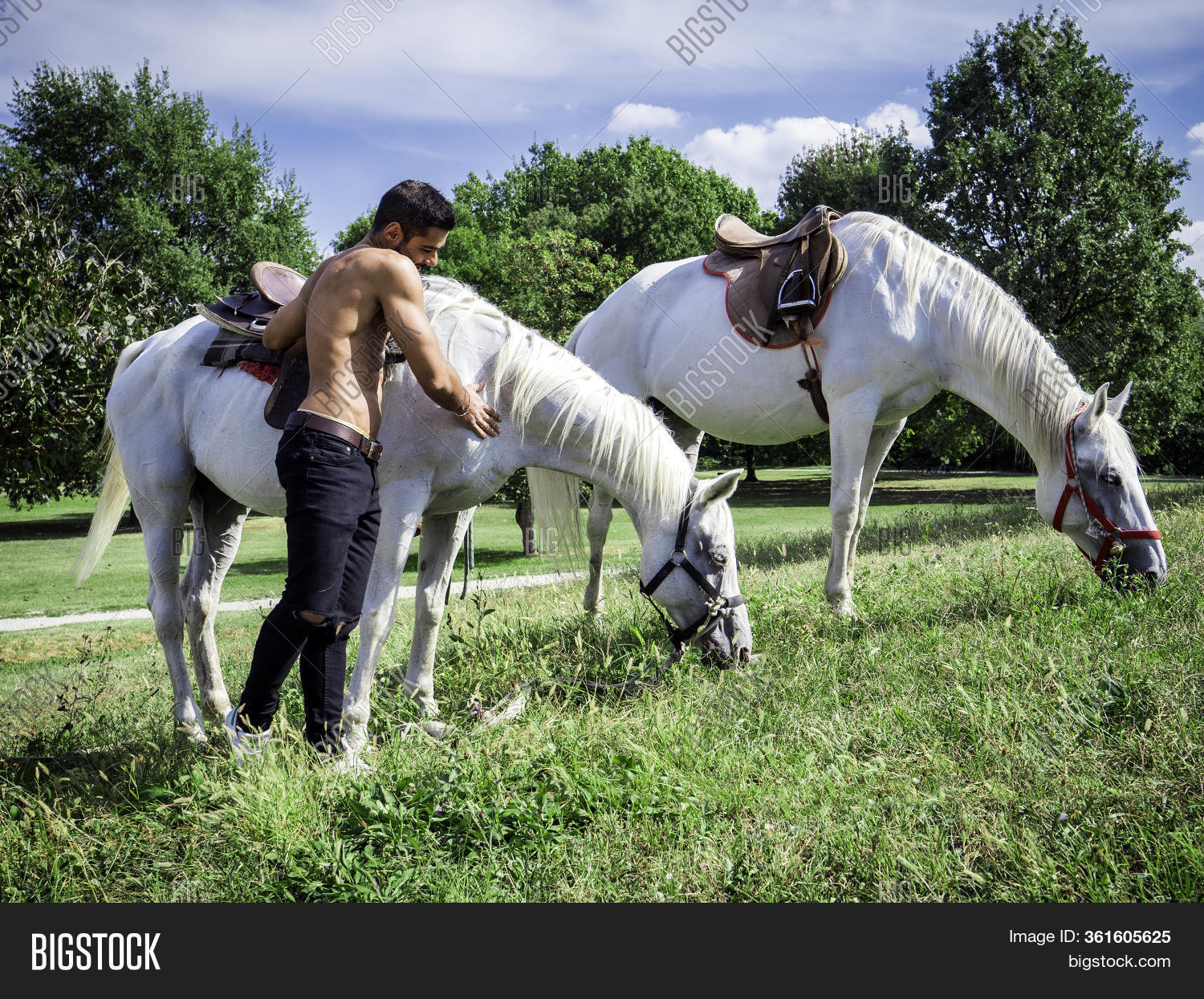 Sexy Shirtless Bearded Image & Photo (Free Trial) | Bigstock